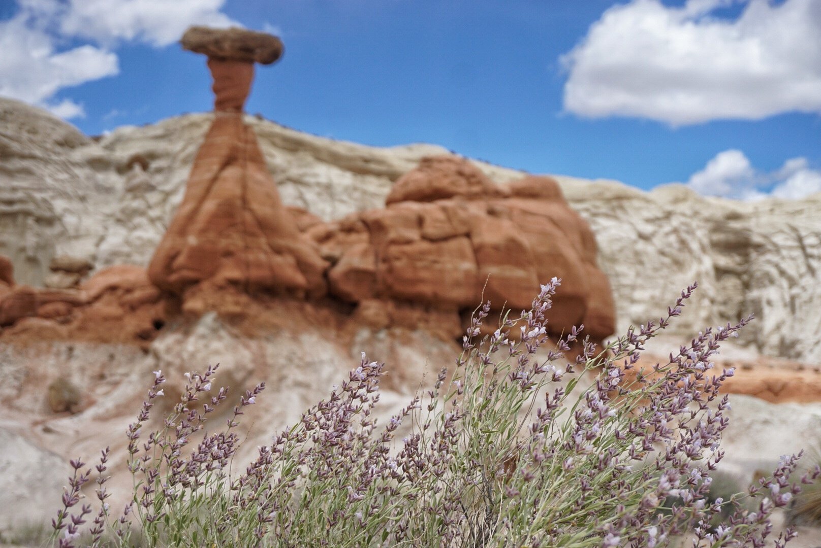 17 Reasons Why Utah Is Pretty Much Another Planet – Eternal Arrival