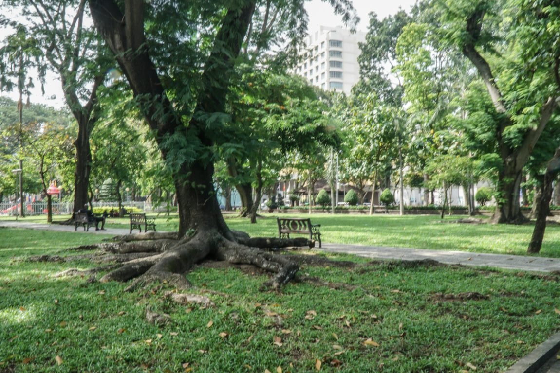 saigon-park – Eternal Arrival