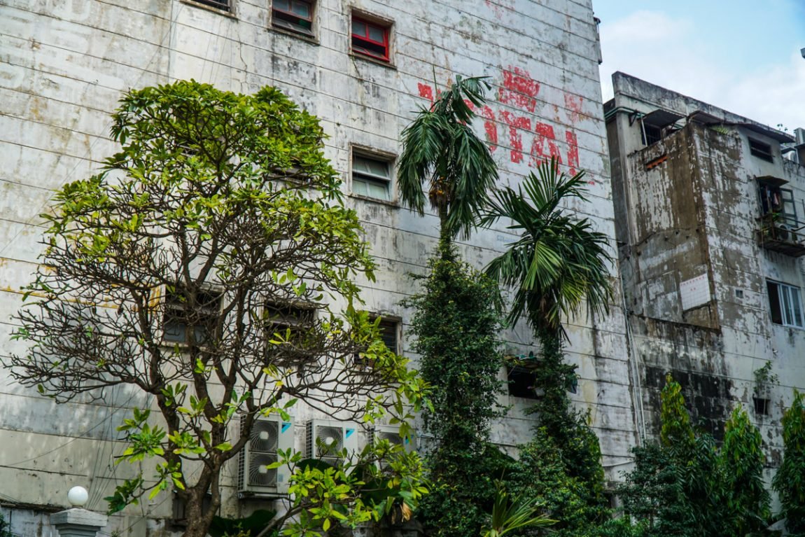 saigon-trees-buildings - Eternal Arrival