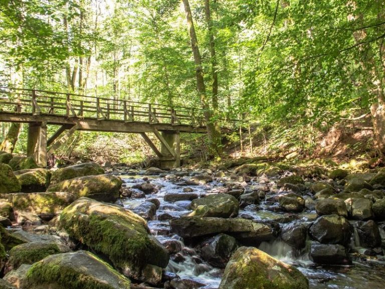 The 10 Most Breathtaking Hikes in Germany – Eternal Arrival