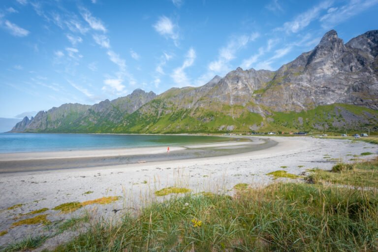 101 Side-Splitting Nature Puns & Funny Nature Captions – Eternal Arrival