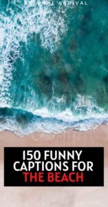 150 Shell-arious Beach Puns for Summery Instagram Captions – Eternal ...