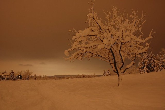 19 Things to Do in Boulder in Winter – Eternal Arrival