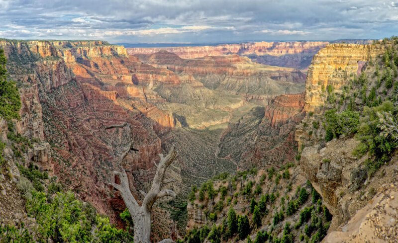 North Rim Vs. South Rim Grand Canyon: Which Side is Right for You ...