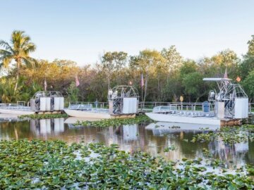 Your Ultimate 2 Day Everglades National Park Itinerary – Eternal Arrival