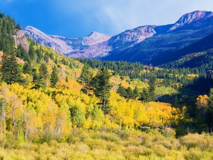 21 Fantastic Places for Fall Foliage in Colorado – Eternal Arrival