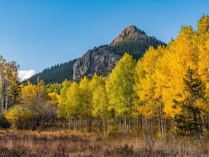 21 Fantastic Places for Fall Foliage in Colorado – Eternal Arrival