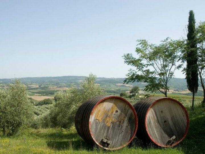 7 Best Tuscany Wine Tours from Florence: A Curated List – Eternal Arrival
