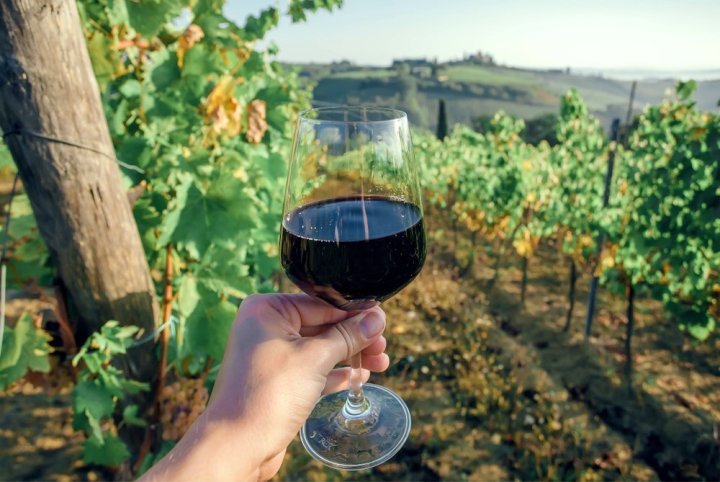 The 15 Best Italian Wines Worth Trying (Picked By a Wine Geek ...
