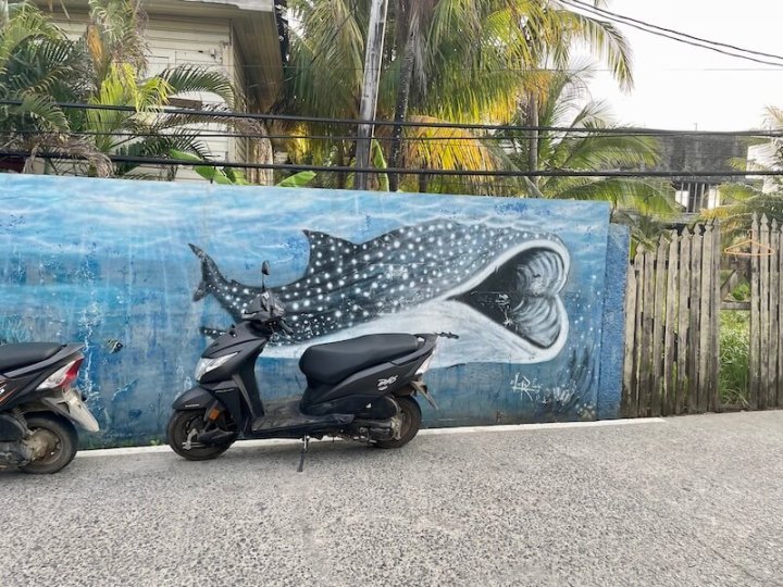 21 Unbelievable Things to Do in Utila, Honduras – Eternal Arrival