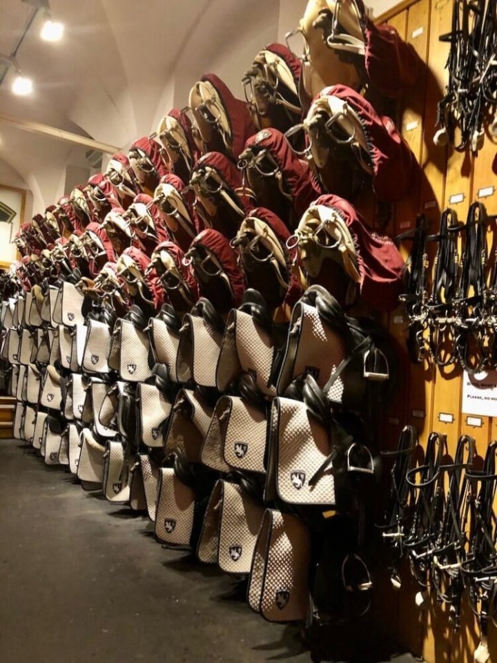 Spanish Riding School in Vienna: 5 Ways to See the Magic – Eternal Arrival