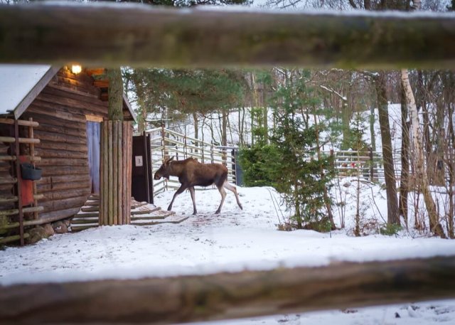 17 Wonderful Things to Do in Stockholm in Winter [2024-2025] – Eternal ...