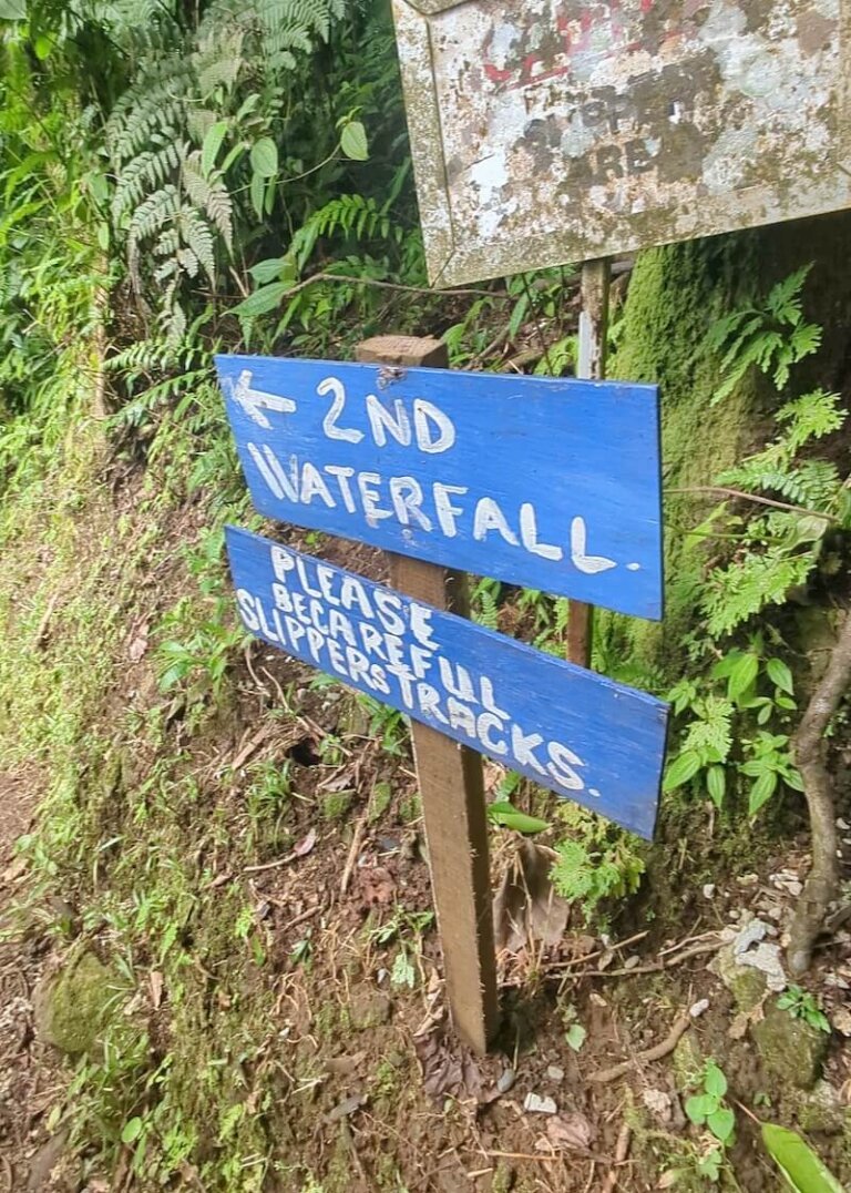 Tavoro Waterfalls: How to Hike the 3 Bouma Falls in Taveuni – Eternal ...
