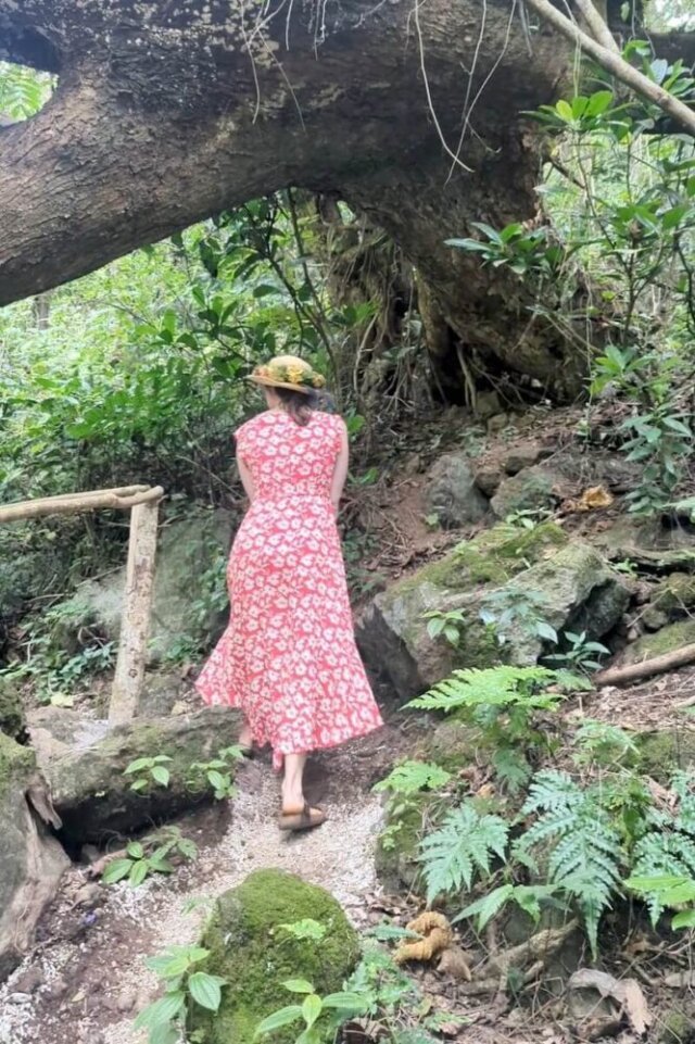 Waitavala Water Slides: A Quick Guide to This Fun Taveuni Attraction ...