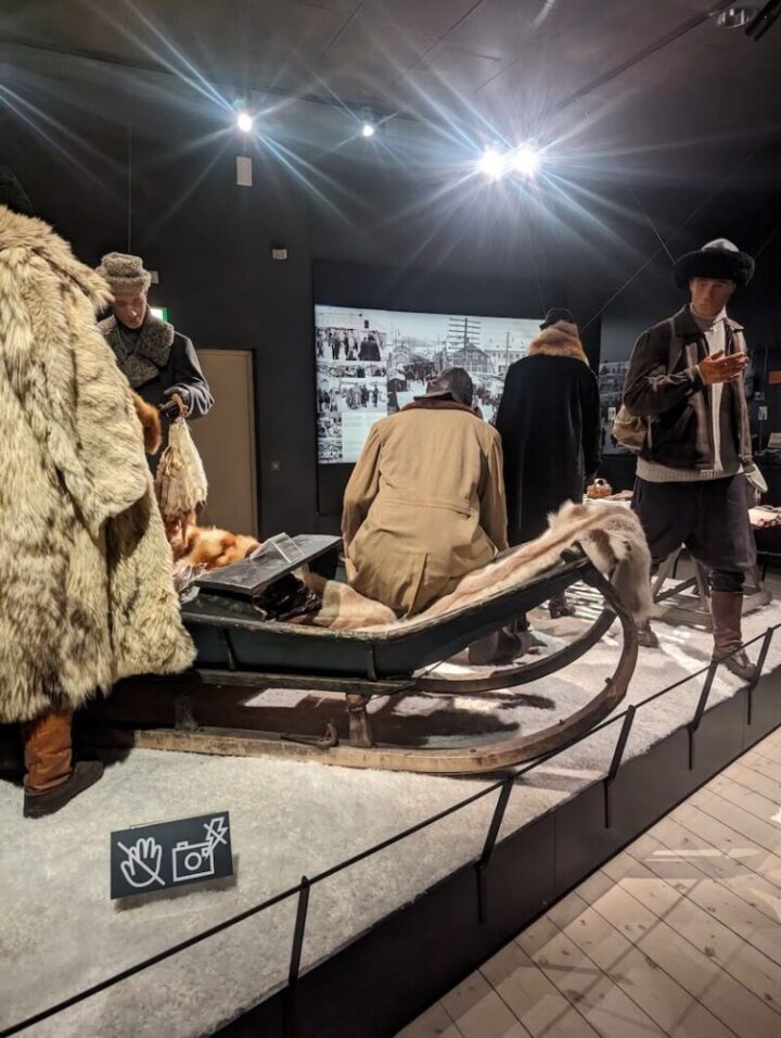 Is It Worth Visiting Arktikum?: Quick Guide to Rovaniemi’s Science ...