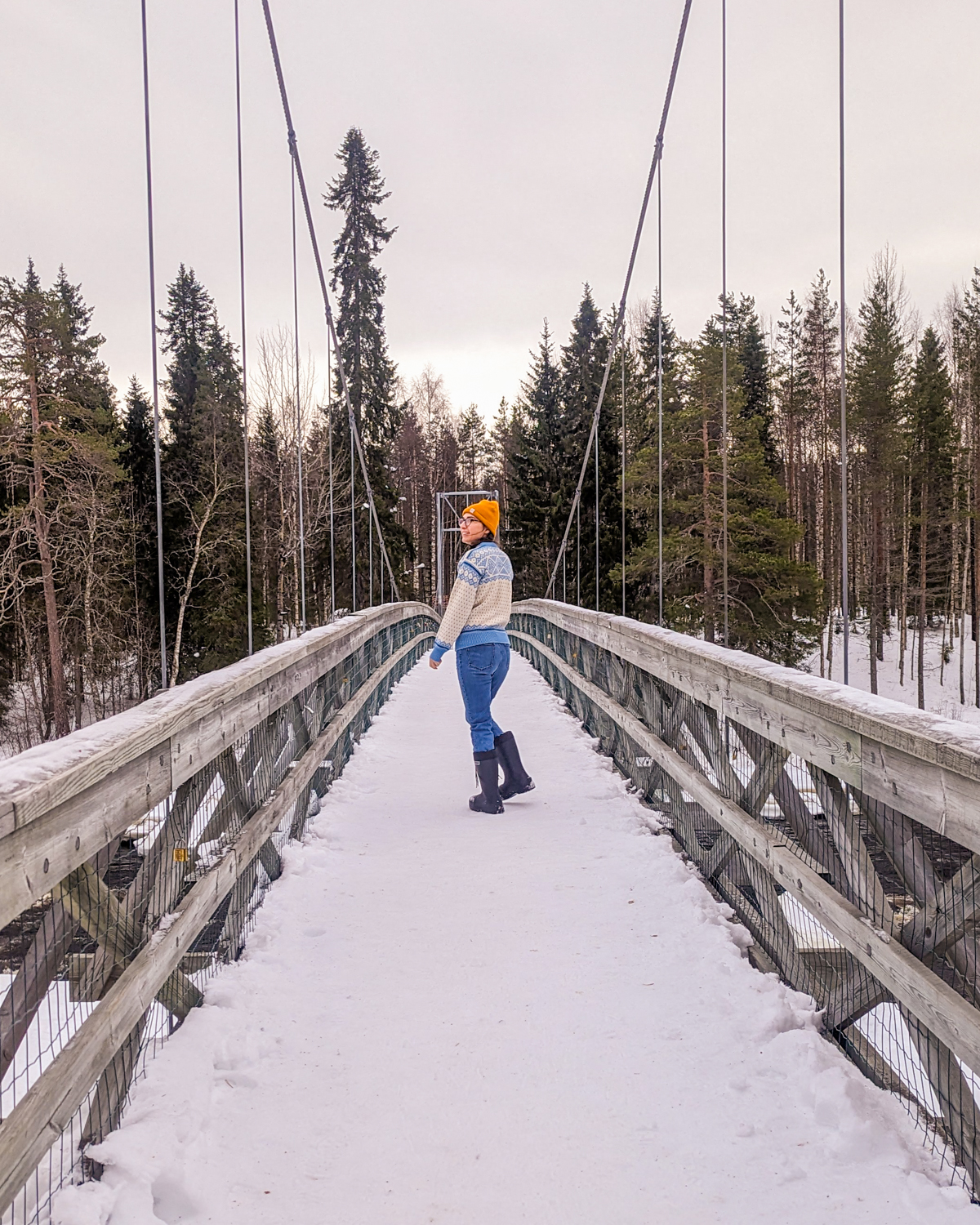 21 Enchanting Things to Do in Rovaniemi in Winter (2026 Update ...