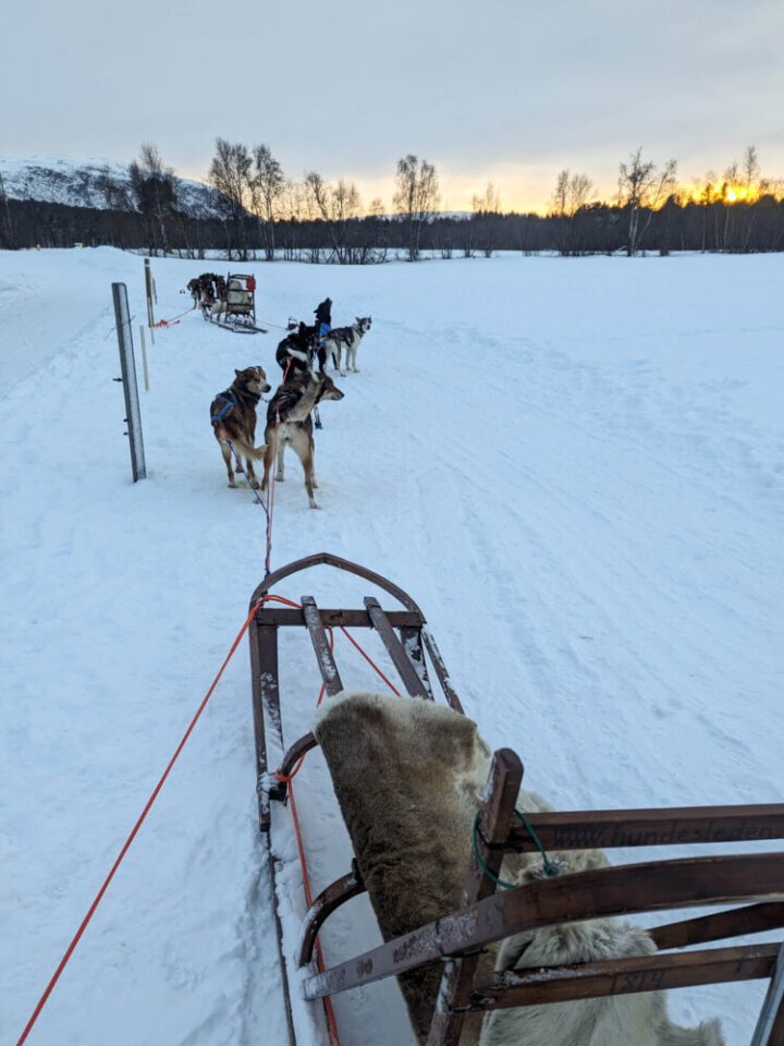 Dog Sledding in Alta: My Experience & Tips For Your Husky Tour ...