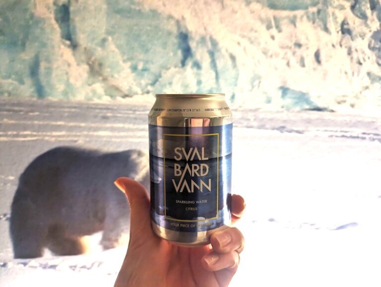 Svalbard in Winter: What to Know + 17 Fun Things to Do [2026 Update ...