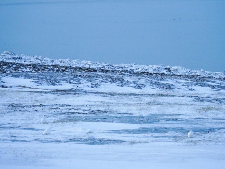 Svalbard Packing List: What to Wear in Svalbard in Winter and Summer ...