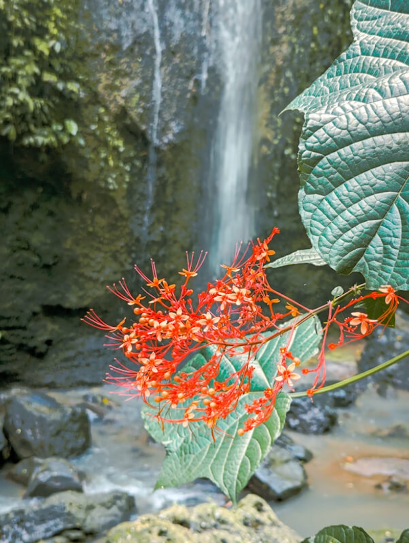 Visiting Tibumana Waterfall: A Quick & Practical Guide – Eternal Arrival