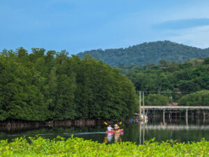 Koh Kood Travel Guide: Things to Do & Where to Stay on Trat’s Best Island – Eternal Arrival