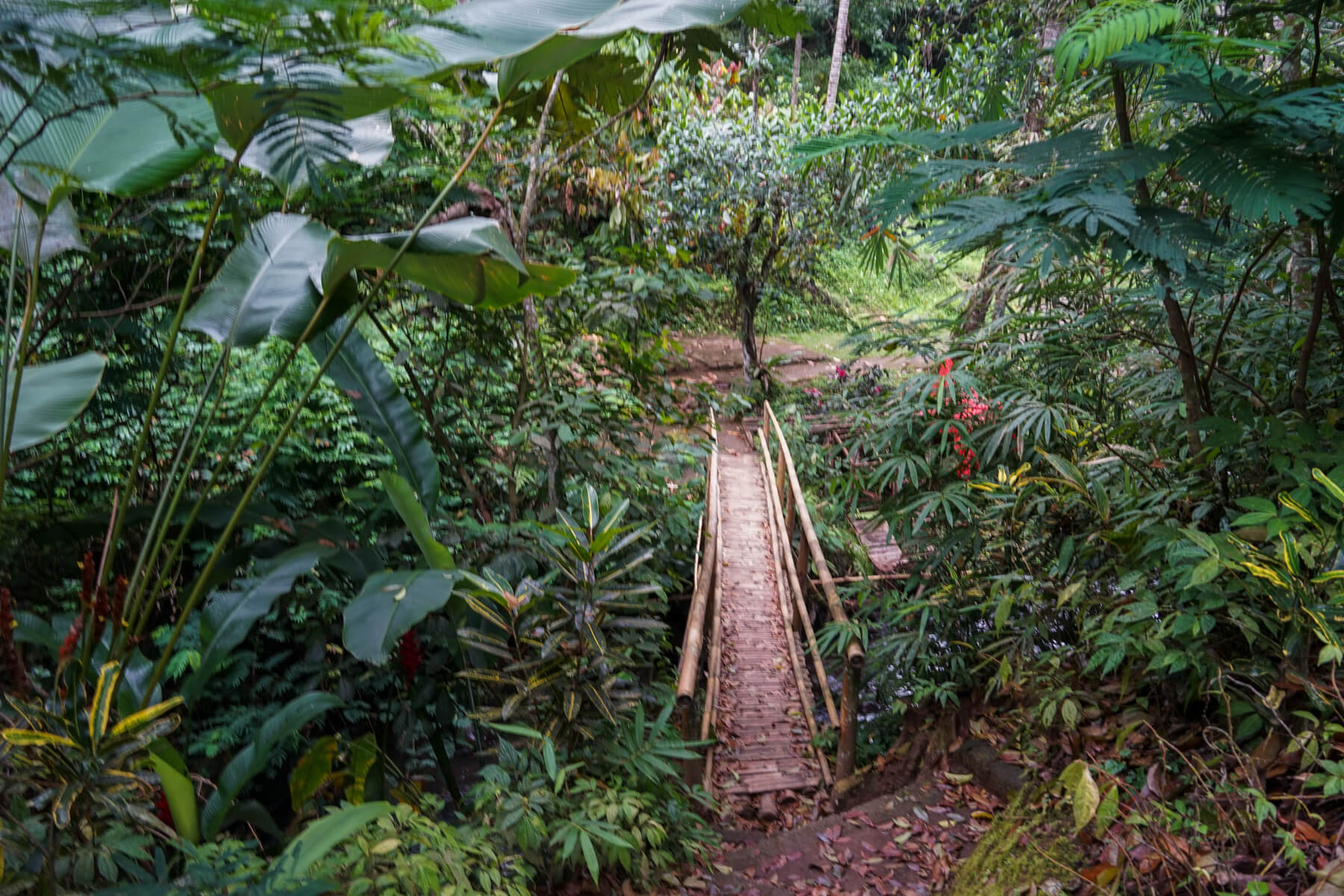 Campuhan Antapan Waterfall, Bali: Leke Leke’s Quieter Neighbor ...