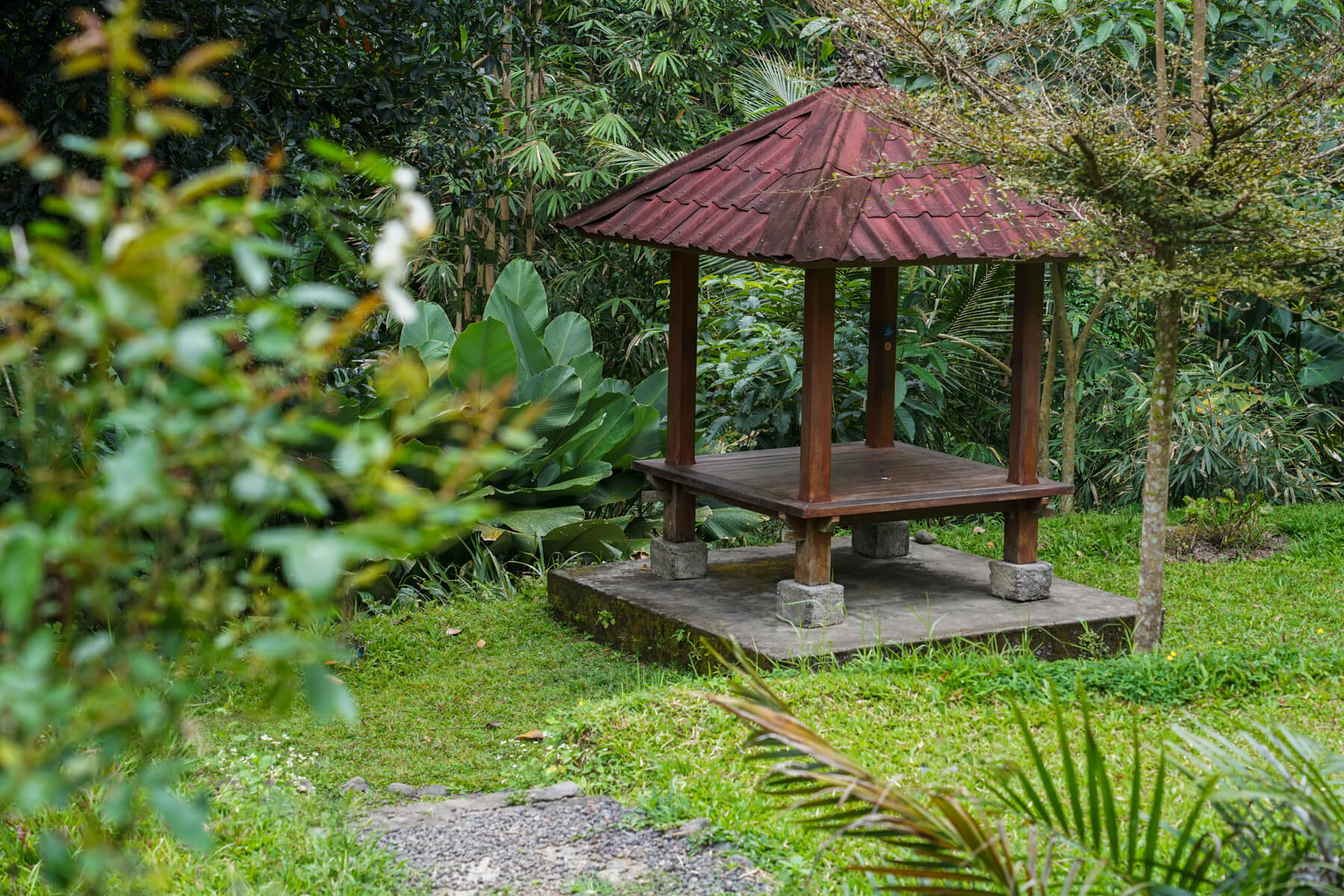 Campuhan Antapan Waterfall, Bali: Leke Leke’s Quieter Neighbor ...