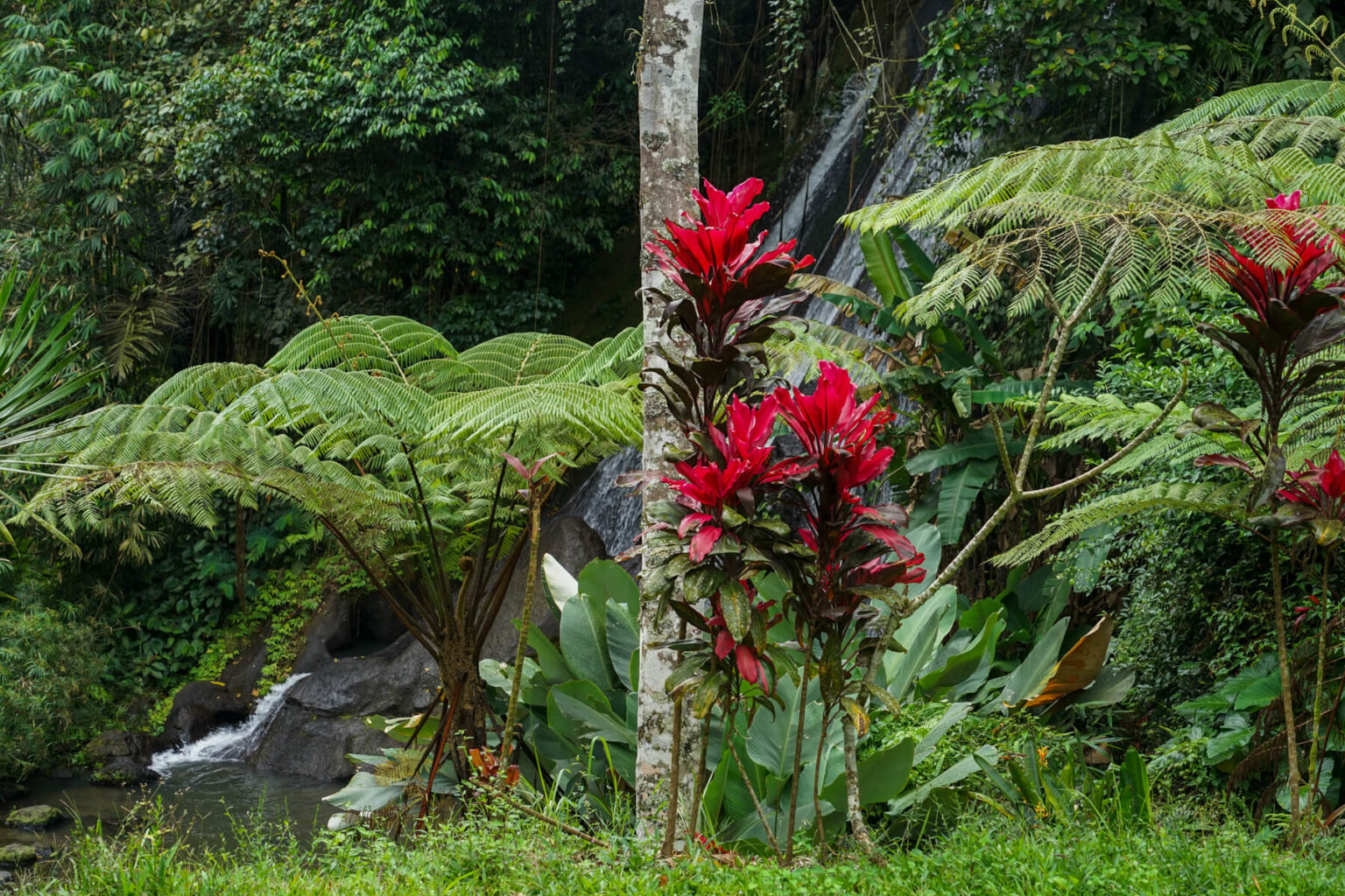 Campuhan Antapan Waterfall, Bali: Leke Leke’s Quieter Neighbor ...
