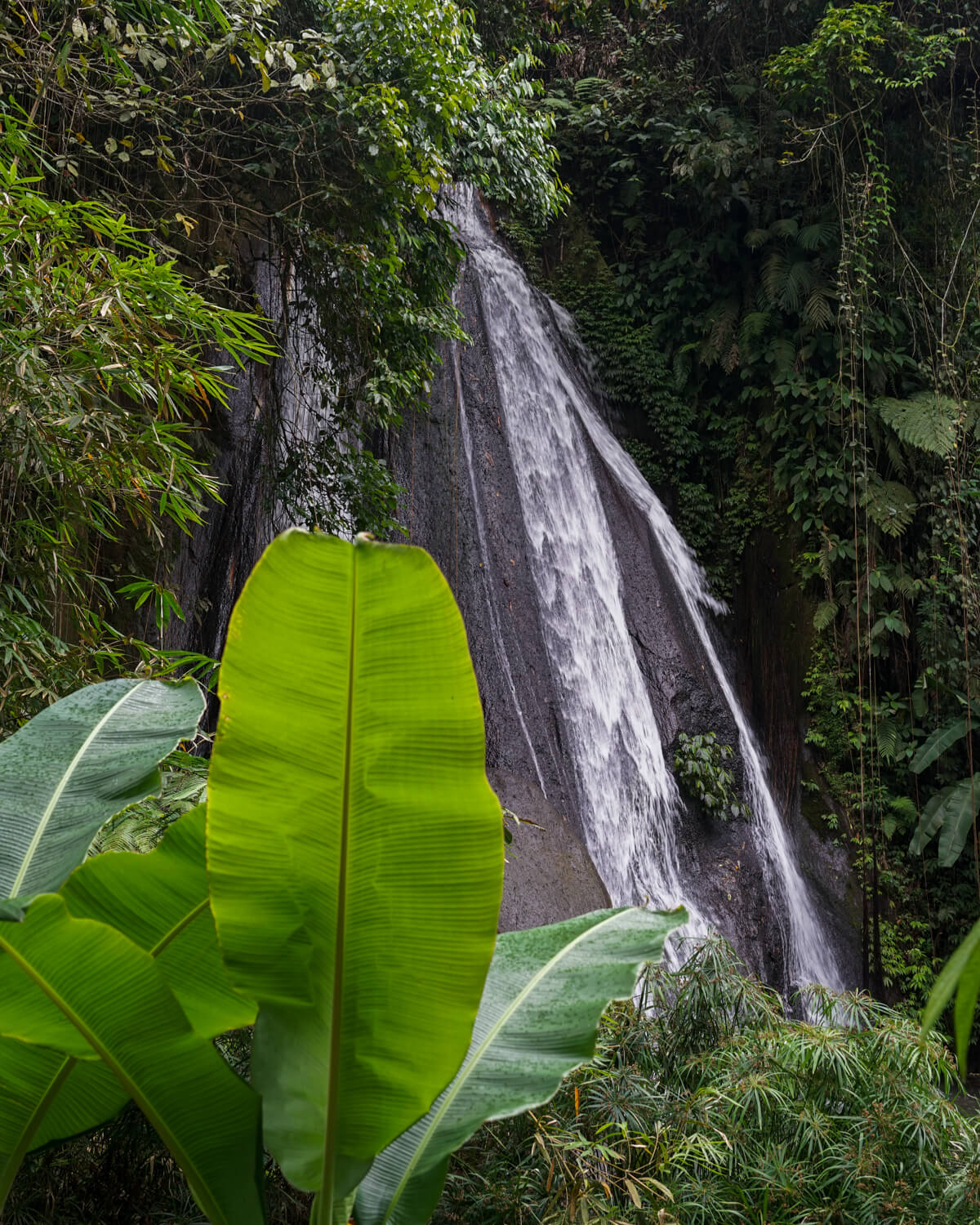 Campuhan Antapan Waterfall-3 – Eternal Arrival